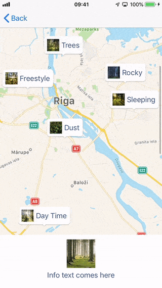 MKMapView map annotations with expandable info view – Guntis Treulands – Blog about swift coding